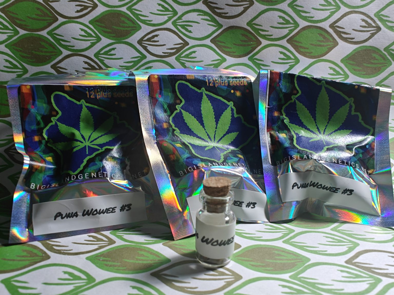 Puna Wowee #3 – Maui Wowee x Puna Budder F1 Seeds | Big Island Genetics